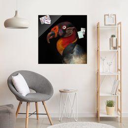 Bilderwelten Glasbild Tiere Motiv schwarz Glas Wandbild - K&ouml;nigsgeier vor Schwarz - V&ouml;gel Wohnzimmer Schlafzimmer