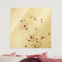 Bilderwelten Glasbild Blumen Landhaus beige Glas Wandbild - Cosmea in zarten Cremet&ouml;nen - Deko Wohnzimmer Schlafzimmer