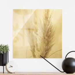 Bilderwelten Glasbild Blumen Landhaus beige Glas Wandbild - Flauschiges Pampasgras - Gr&auml;ser Wohnzimmer Schlafzimmer
