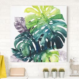 Bilderwelten Leinwandbild - Quadrat Exotisches Blattwerk - Monstera