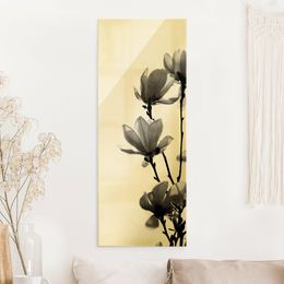 Bilderwelten Glasbild Tropisch schwarz weiss Glas Wandbild - Fr&uuml;hlingsbote Magnolie Schwarz Wei&szlig; - Pflanzen Wohnzimmer Schlafzimmer