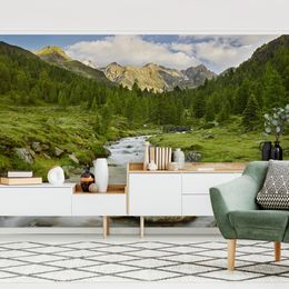 Bilderwelten Fototapete Wald Motiv Wandtapete gr&uuml;n - Debanttal Nationalpark Hohe Tauern - Berg Wohnzimmer Schlafzimmer