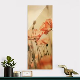 Bilderwelten Glasbild Blumen Motiv rot Glas Wandbild - Mohnbl&uuml;ten im Sommerwind - Mohn Wohnzimmer Schlafzimmer