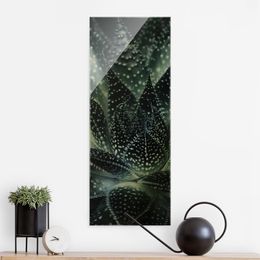 Bilderwelten Glasbild Motiv schwarz Glas Wandbild - Kaktus mit Sternpunkten bei Nacht - Deko Wohnzimmer Schlafzimmer