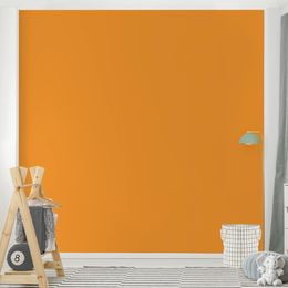 Bilderwelten Fototapete Vliestapete Unifarben Wandtapete einzigartig - Mango - Deko Wohnzimmer Schlafzimmer