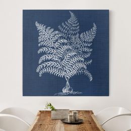 Bilderwelten Leinwandbild - Quadrat Denim Pflanzenstudie VI