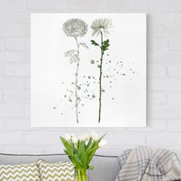 Bilderwelten Leinwandbild - Quadrat Botanisches Aquarell - L&ouml;wenzahn