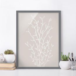 Bilderwelten Bild mit Rahmen originell beige Line Art inkl. Rahmung - Line Art Zweig auf Beige - Pflanzen Wohnzimmer Schlafzimmer