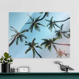 Bilderwelten Glasbild Strand Motiv blau Glas Wandbild - Palmengiganten im Himmel - Palme Wohnzimmer Schlafzimmer