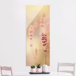 Bilderwelten Glasbild Blumen Landhaus violett Glas Wandbild - Zartvioletter Lavendel - Gr&auml;ser Wohnzimmer Schlafzimmer