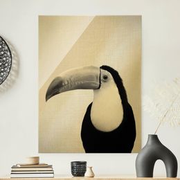 Bilderwelten Glasbild Tiere Motiv schwarz weiss Glas Wandbild - Tukan Torben Schwarz Wei&szlig; - V&ouml;gel Kinderzimmer Baby M&auml;dchen Jungen