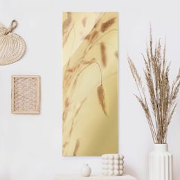 Bilderwelten Glasbild Blumen Landhaus beige Glas Wandbild - Zartes Glanzgras - Gr&auml;ser Wohnzimmer Schlafzimmer