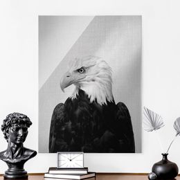 Bilderwelten Glasbild Tiere Motiv schwarz weiss Glas Wandbild - Seeadler Sokrates Schwarz Wei&szlig; - V&ouml;gel Kinderzimmer Baby M&auml;dchen Jungen