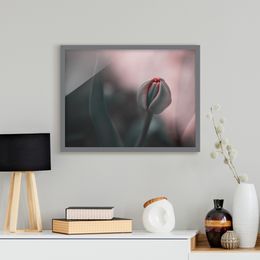 Bilderwelten Bild mit Rahmen Blumen rosa modern inkl. Rahmung - Sinnliche Tulpe - Deko Wohnzimmer Schlafzimmer
