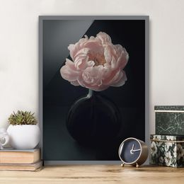 Bilderwelten Bild mit Rahmen Blumen rosa modern inkl. Rahmung - Stillleben mit Pfingstrose - Deko Wohnzimmer Schlafzimmer