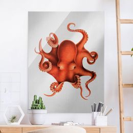 Bilderwelten Glasbild Strand Illustration rot Glas Wandbild - Vintage Illustration Roter Oktopus - Unterwasser Wohnzimmer Schlafzimmer