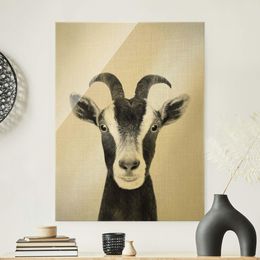 Bilderwelten Glasbild Tiere Motiv schwarz weiss Glas Wandbild - Ziege Zora Schwarz Wei&szlig; - Deko Kinderzimmer Baby M&auml;dchen Jungen