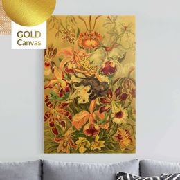 Bilderwelten Leinwandbild Nymphe mit Orchideen
