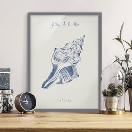 Bilderwelten Bild mit Rahmen Tiere beige modern inkl. Rahmung - Die T&ouml;chter des Meeres - Muschel - Deko Kinderzimmer Baby M&auml;dchen Jungen