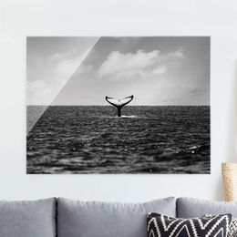 Bilderwelten Glasbild Strand Motiv schwarz weiss Glas Wandbild - Fluke im Ozean - Meerblick Wohnzimmer Schlafzimmer