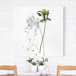 Bilderwelten Leinwandbild - Quadrat Botanisches Aquarell - Lilie