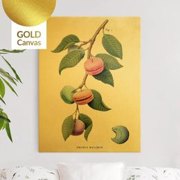 Bilderwelten Leinwandbild Vintage Pflanze - Macaron