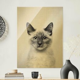 Bilderwelten Glasbild Tiere Motiv schwarz weiss Glas Wandbild - Siamkatze Sibylle Schwarz Wei&szlig; - Katze Kinderzimmer Baby M&auml;dchen Jungen