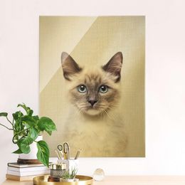 Bilderwelten Glasbild Tiere Motiv schwarz weiss Glas Wandbild - Siamkatze Sibylle - Katze Kinderzimmer Baby M&auml;dchen Jungen