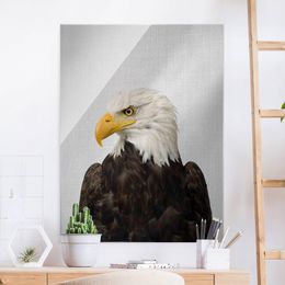 Bilderwelten Glasbild Tiere Motiv schwarz weiss Glas Wandbild - Seeadler Sokrates - V&ouml;gel Kinderzimmer Baby M&auml;dchen Jungen