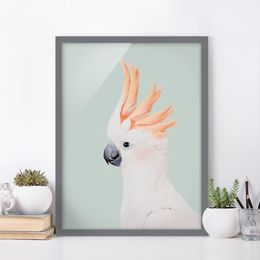 Bilderwelten Bild mit Rahmen Tiere pastell Pop Art inkl. Rahmung - Kakadu vor Pastellblau - V&ouml;gel Wohnzimmer Schlafzimmer