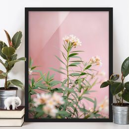 Bilderwelten Bild mit Rahmen Sanfte Bl&uuml;ten vor Pink