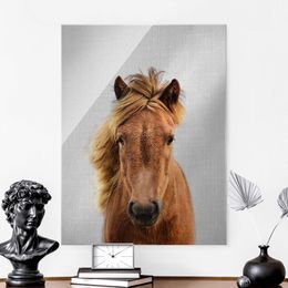 Bilderwelten Glasbild Tiere Motiv schwarz weiss Glas Wandbild - Pferd Pauline - Pferde Kinderzimmer Baby M&auml;dchen Jungen