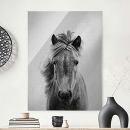 Bilderwelten Glasbild Tiere Motiv schwarz weiss Glas Wandbild - Pferd Pauline Schwarz Wei&szlig; - Pferde Kinderzimmer Baby M&auml;dchen Jungen