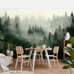 Bilderwelten Fototapete Tiefgr&uuml;ner Tannenwald im Nebel