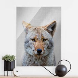 Bilderwelten Glasbild Tiere Motiv schwarz weiss Glas Wandbild - Kojote Kalle - Deko Kinderzimmer Baby M&auml;dchen Jungen