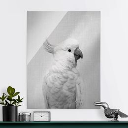 Bilderwelten Glasbild Tiere Motiv schwarz weiss Glas Wandbild - Kakadu Kiki Schwarz Wei&szlig; - V&ouml;gel Kinderzimmer Baby M&auml;dchen Jungen