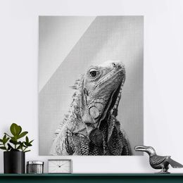 Bilderwelten Glasbild Tiere Motiv schwarz weiss Glas Wandbild - Leguan Louis Schwarz Wei&szlig; - Deko Kinderzimmer Baby M&auml;dchen Jungen