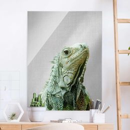 Bilderwelten Glasbild Tiere Motiv schwarz weiss Glas Wandbild - Leguan Louis - Deko Kinderzimmer Baby M&auml;dchen Jungen