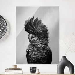 Bilderwelten Glasbild Tiere Motiv schwarz weiss Glas Wandbild - Kakadu Kanye Schwarz Wei&szlig; - V&ouml;gel Kinderzimmer Baby M&auml;dchen Jungen