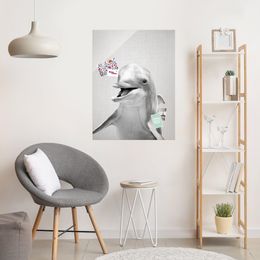 Bilderwelten Glasbild Delfin Diddi Schwarz Wei&szlig;