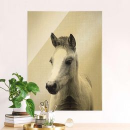 Bilderwelten Glasbild Tiere Motiv schwarz weiss Glas Wandbild - Baby Pferd Philipp Schwarz Wei&szlig; - Pferde Kinderzimmer Baby M&auml;dchen Jungen