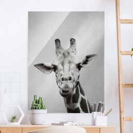 Bilderwelten Glasbild Tiere Motiv schwarz weiss Glas Wandbild - Giraffe Gundel Schwarz Wei&szlig; - Giraffen Kinderzimmer Baby M&auml;dchen Jungen
