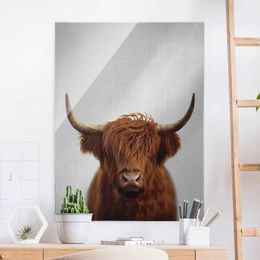 Bilderwelten Glasbild Tiere Motiv schwarz weiss Glas Wandbild - Hochlandrind Harry - Deko Kinderzimmer Baby M&auml;dchen Jungen