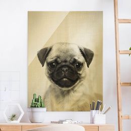 Bilderwelten Glasbild Tiere Motiv schwarz weiss Glas Wandbild - Baby Mops Moritz Schwarz Wei&szlig; - Hund Kinderzimmer Baby M&auml;dchen Jungen