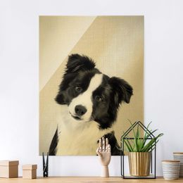 Bilderwelten Glasbild Tiere Motiv schwarz weiss Glas Wandbild - Bordercollie Benni Schwarz Wei&szlig; - Hund Kinderzimmer Baby M&auml;dchen Jungen