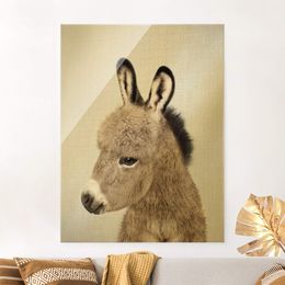Bilderwelten Glasbild Tiere Motiv schwarz weiss Glas Wandbild - Esel Ernesto - Deko Kinderzimmer Baby M&auml;dchen Jungen