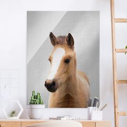 Bilderwelten Glasbild Tiere Motiv schwarz weiss Glas Wandbild - Baby Pferd Philipp - Pferde Kinderzimmer Baby M&auml;dchen Jungen