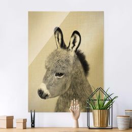 Bilderwelten Glasbild Tiere Motiv schwarz weiss Glas Wandbild - Esel Ernesto Schwarz Wei&szlig; - Deko Kinderzimmer Baby M&auml;dchen Jungen