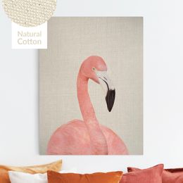 Bilderwelten Leinwandbild Flamingo Fabian