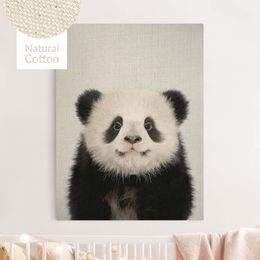 Bilderwelten Leinwandbild Baby Panda Prian